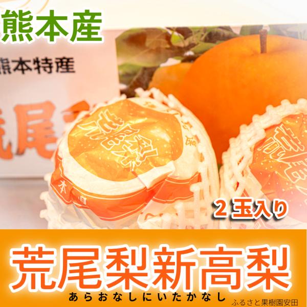 荒尾ジャンボ梨 新高梨 2玉入り 熊本産  荒尾梨 産地箱入り 送料無料（北海道・東北・沖縄別途送料）９月中旬頃から順次発送致します。クール便でのお届けとなります。日時指定お受けできません。＜＜荒尾梨について＞＞荒尾新高梨は晩生梨となります...