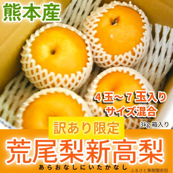 荒尾ジャンボ梨 新高梨4玉〜7玉入り３kg箱入り サイズ混合ご家庭用 熊本産 荒尾梨 産地箱入り 送料無料（北海道・東北・沖縄別途送料）９月中旬頃から順次発送致します。クール便でのお届けとなります。収穫の状況によってはお待たせする場合がござ...