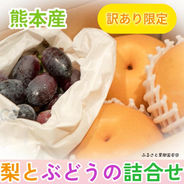 旬の梨とぶどうの詰合せ（ご家庭用）旬の梨（秋月梨・新高・新興・その他）訳あり品のいずれかを2玉〜3玉旬の葡萄１〜2房の詰合せ訳あり品クール便でのお届けとなります。商品内容・日時指定等はお受けできません。