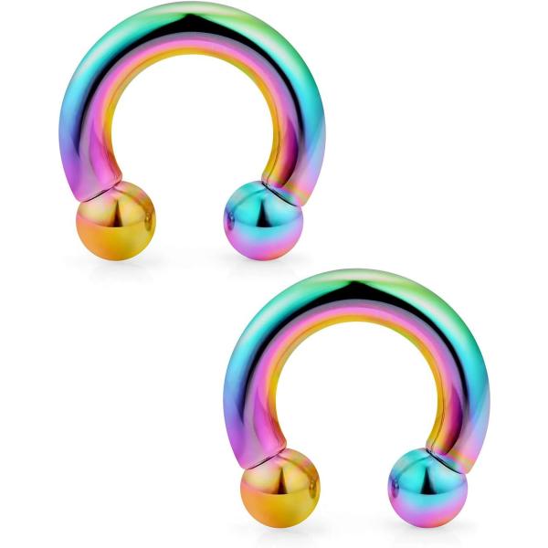 商品名Ftovosyo PAリング 内部スレッド レインボー サーキュラー バーベル 蹄鉄 ラージ セプタム リング イヤー ゲージ イヤリング 2G 4G 6G 8G 12mm/16mm 316L サージカルスチール ピアス ボディジュエ...