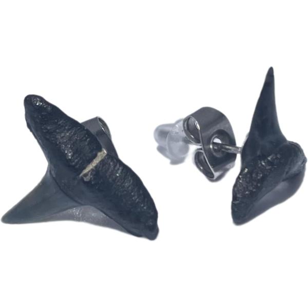 商品名本物のサメの歯 スタッドピアス // 化石化したサメの歯 倫理的ジュエリー 古代、本物、フロリダで発見された本物の化石、SHRKcoによるハンドメイドイヤリング メンズ レディース ガールズ, 化石サメの歯, サメの歯REAL Sha...