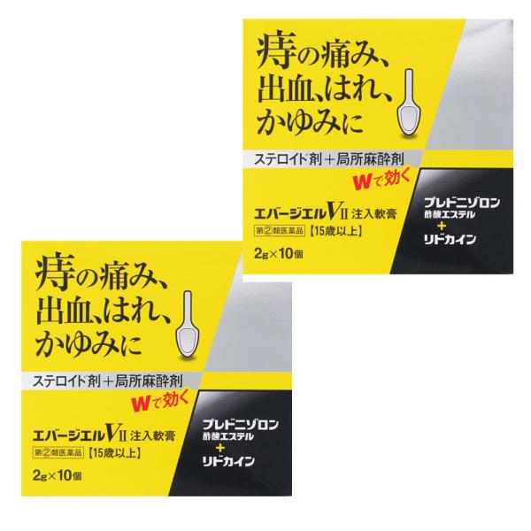 【発売元・製造元】中外医薬生産（株）【商品詳細】エバージエルVII注入軟膏は、痔の治療に有効なプレドニゾロン酢酸エステル、リドカインなど5種の有効成分を配合した痔疾用注入軟膏で痔の痛み、はれ、かゆみ、出血の不快な4つの症状の改善にすぐれた効...