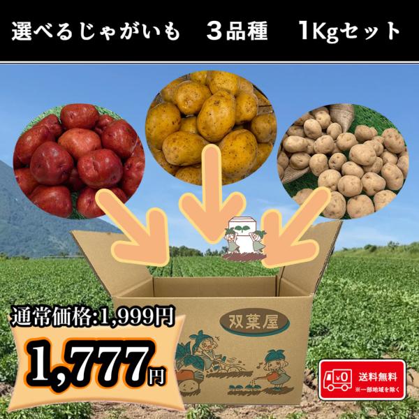 5kgや10kgじゃ多い…保存場所が…という声にお応えして！あなた好みの3品種を1kg詰め合わせセットでお届けします！食べ比べて楽しんであなたの推しじゃがいもを見つけてください♪マツコの知らない世界で紹介された品種もあり！●商品名:選べるじ...