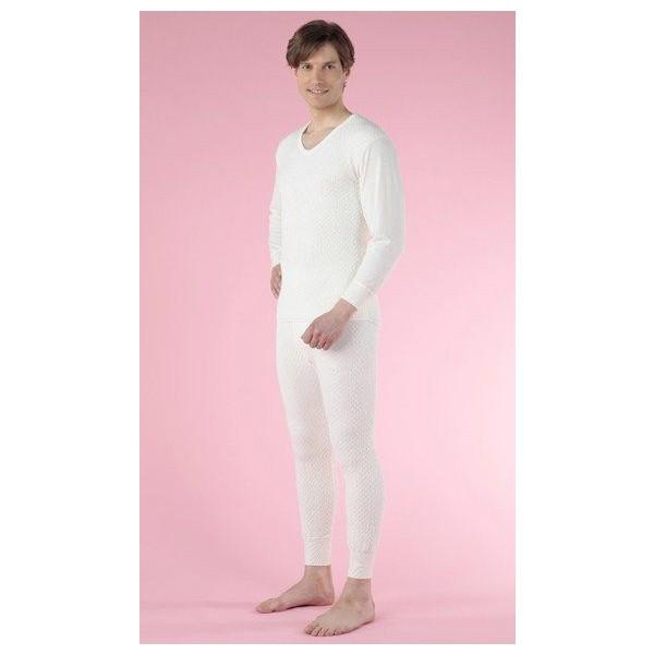 健康肌着 ひだまり 極 きわみ 紳士用 長袖U首シャツ+ズボン下 上下セット S〜LLサイズ　上下　ダンロン(旧テイジンテビロン)は保温性と透湿性（汗を体外に逃がす）に優れています。その上二重構造・三重構造で、ドライ＆ファイン（カラッとした...