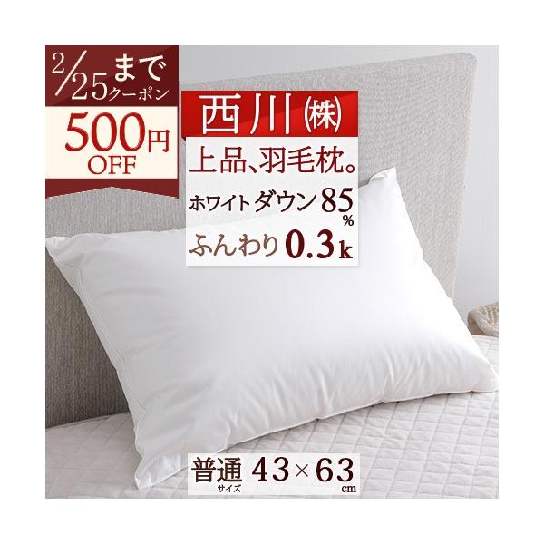 ◆商品名：西川 東京西川 羽毛まくら　ダウンピロー  カセットE2004  43×63cm枕（大人サイズ）◆商品お問合せ番号：2185◆メーカー名：西川株式会社◆商品規格：■サイズ：43×63cm■側生地：綿60％ ポリエステル40％■詰め...