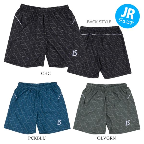 GEOMETRICシリーズのCREW TOP。今回はカラーにも拘ったアイテムとなっています。STANDARD PISTE SHORT PANTSと同スペックになります。Size[ウエスト/総丈/股下(cm)]130 [55/31/10]14...