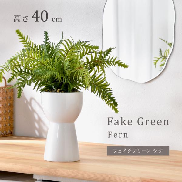 ■商品名フェイクグリーン シダ 40cm セラミックポット■取扱タイプシダ/セラミックポット■商品仕様葉：ポリエチレン/スチール幹：ポリエチレン/スチール鉢：セラミック/発泡スチロール/石■商品サイズ（約）幅42cm×奥行き45cm×高さ4...