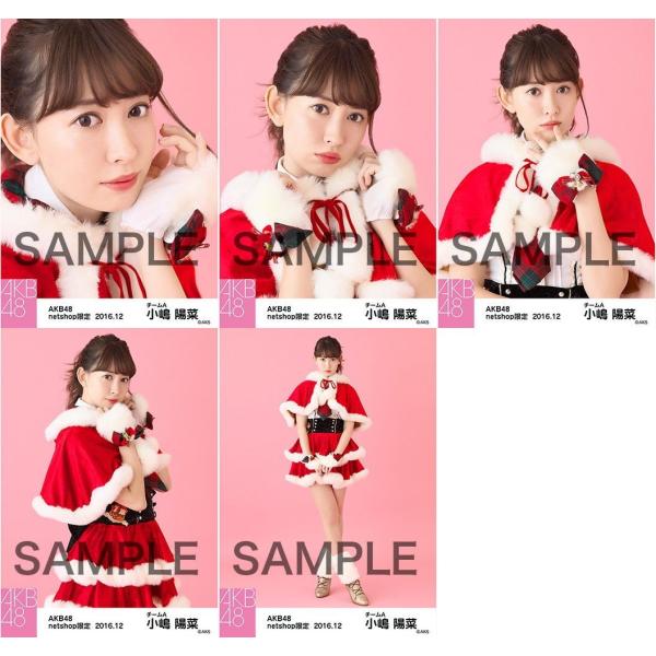 小嶋陽菜さん AKB48 nanaco クリスマスキャンペーン限定 - nimfomane.com