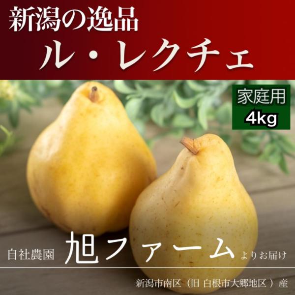 【発売日：2026年11月30日】●家庭用（良品）見た目は優品よりやや劣ります。フルーツキャップ（保護ネット）は付属しませんが、その分 内容量は2倍！お得にたっぷりお楽しみいただけます。ご家庭で手軽に楽しめる“贅沢な味わいのル レクチェ”と...
