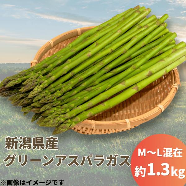 【発売日：2026年05月31日】きれいな空気と水、そして肥沃な大地。自然豊かな津南町で育ったアスパラは、元気がよく、味がしっかりしています！朝採りにしたアスパラは、その日に発送いたします。翌日には到着するので新鮮さが違います。（一部地域や...