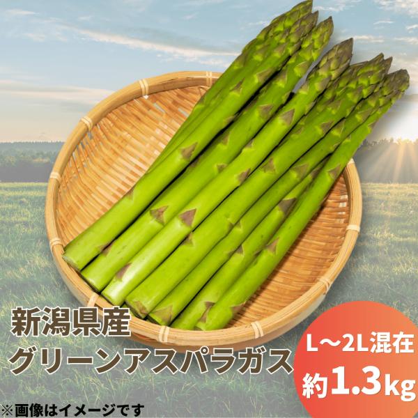 【発売日：2026年05月31日】きれいな空気と水、そして肥沃な大地。自然豊かな津南町で育ったアスパラは、元気がよく、味がしっかりしています！朝採りにしたアスパラは、その日に発送いたします。翌日には到着するので新鮮さが違います。（一部地域や...