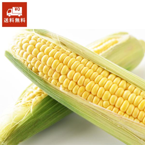 【発売日：2026年07月20日】冷蔵便にてお送りいたします。内容量：約22〜26本入(約10kg)当店では、新潟県津南町の中でも特に品質に定評のある、信頼できる生産者さんが育てたトウモロコシのみを厳選して販売しています。津南町は苗場山を水...