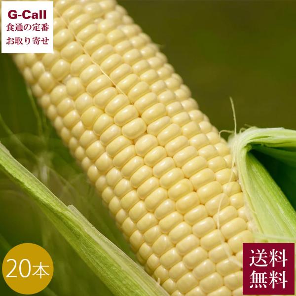 【発売日：2026年06月05日】★【注意】収穫状況や生育状況によっては、お届けが遅れる場合がございます。あらかじめご了承ください。申込受付：6月19日11時まで出荷期間：6月上旬〜6月下旬まで※配達日のご指定は承ることができません。※お届...