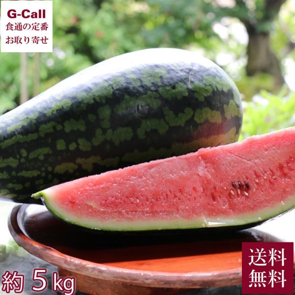【発売日：2026年07月25日】【注意】収穫状況や生育状況によっては、お届けが前後する場合がございます。あらかじめご了承ください。 申込受付：2026年8月10日11時まで 発送期間：7月下旬〜8月中旬 予約指定可能期間：2026年7月2...