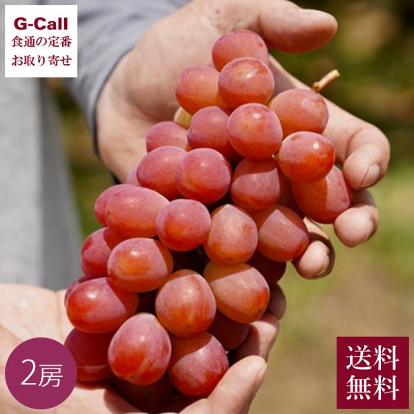 【発売日：2026年09月15日】【注意】収穫状況や生育状況によっては、お届けが前後する場合がございます。あらかじめご了承ください。申込受付：10月9日11時までお届け期間：9月中旬〜10月中旬まで※お届け日のご指定は承ることができません。...