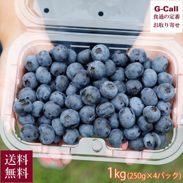 【発売日：2026年07月05日】【注意】収穫状況や生育状況によっては、出荷が遅れる場合がございます。あらかじめご了承ください。申込受付：8月24日11時までお届け期間：7月上旬〜8月下旬まで※受注状況により早期に受付を終了する可能性がござ...