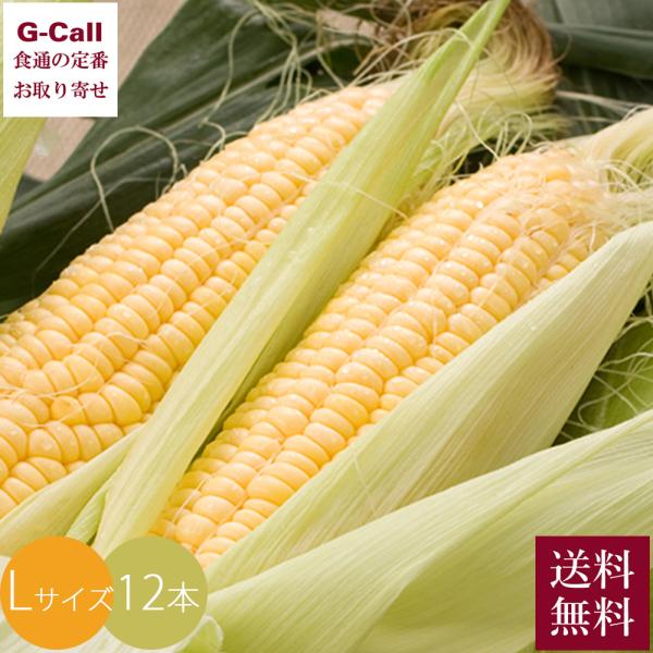 【発売日：2026年08月15日】【注意】お届け日のご指定は承れません。また収穫状況や生育状況によっては出荷時期が前後する場合がございます。あらかじめご了承ください。  申込受付：8月20日11時まで発送期間：8月中旬〜9月上旬まで※お届け...