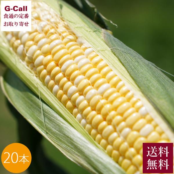 【注意】収穫状況や生育状況によっては、お届けが前後する場合がございます。あらかじめご了承ください。申込受付：2026年6月19日11時までお届け期間：6月中旬〜6月下旬まで※配達日のご指定は承ることができません。※商品の品質保持のため沖縄・...