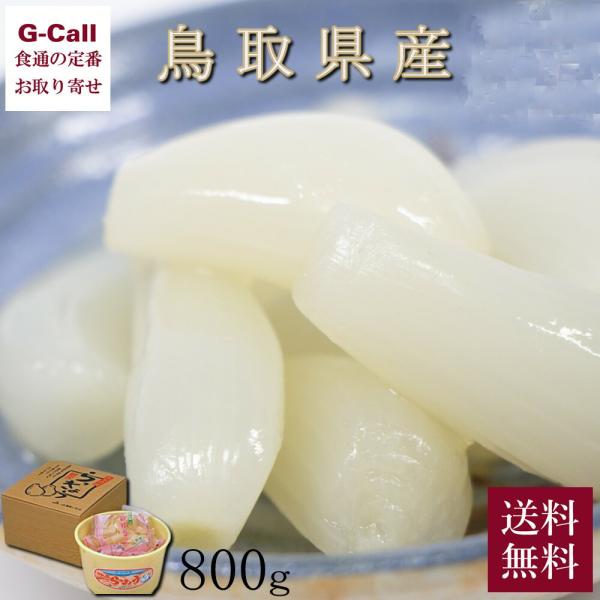 鳥取砂丘で育まれ、美味しく愛されて百年！ 透き通るような白さと食欲をそそる心地よい歯ざわり。 独得の風味を活かした鳥取の幸をご賞味ください。  内容量：樽入り800ｇ（200ｇ×4袋） 賞味期限：常温3ヶ月 原材料名：らっきょう、漬け原材料...