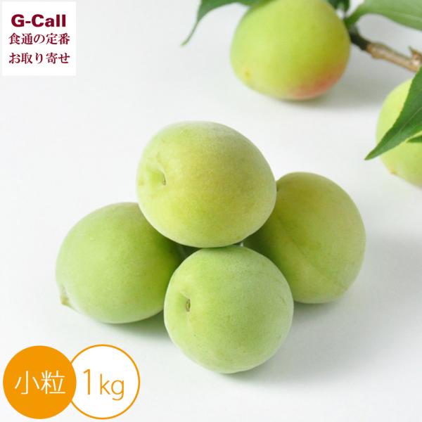 【発売日：2026年06月25日】【注意】収穫状況や生育状況によっては、お届けが前後する場合がございます。あらかじめご了承ください。申込受付：6月12日11時まで出荷期間：6月下旬頃※収穫状況により早期終了の場合があります。※お届け日のご指...