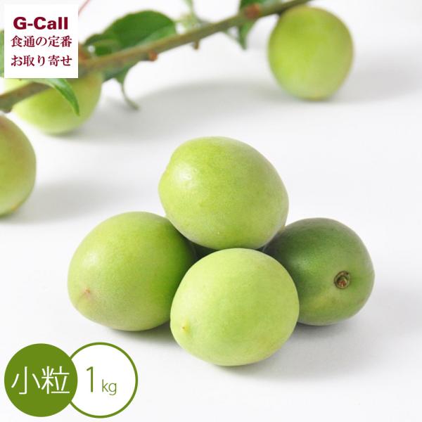 【発売日：2026年06月15日】【注意】収穫状況や生育状況によっては、お届けが前後する場合がございます。あらかじめご了承ください。申込受付：2026年6月9日（火）11時まで出荷期間：6月中旬〜6月下旬※収穫状況により早期終了の場合があり...