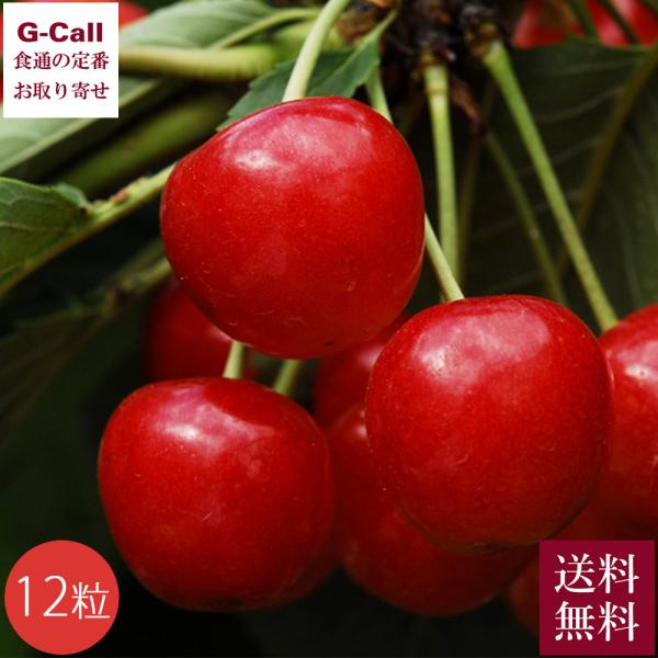 【発売日：2026年07月25日】【注意】収穫状況や生育状況によっては、お届けが前後する場合がございます。あらかじめご了承ください。申込受付：7月7日11時まで発送期間：7月下旬頃※お届け日のご指定は承ることができません。※お届け日は目安で...