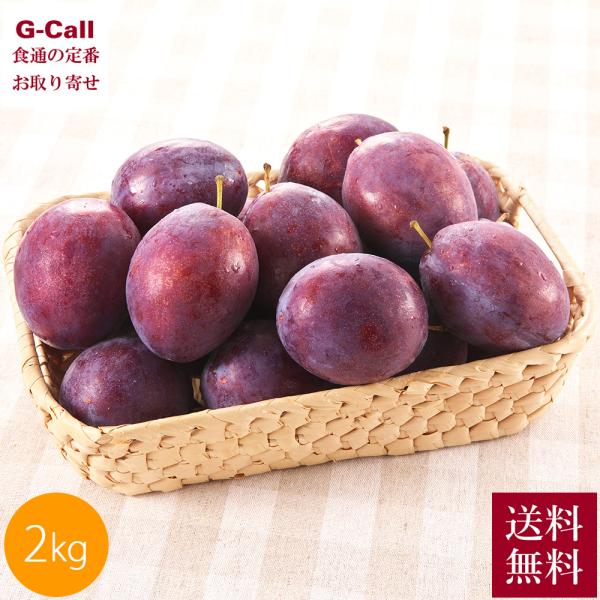 【発売日：2026年09月04日】★【注意】収穫状況や生育状況によっては、出荷が遅れる場合がございます。あらかじめご了承ください。申込受付：9月7日11時まで出荷期間：9月上旬〜下旬まで※お届け日のご指定は承ることができません。※お届け日は...