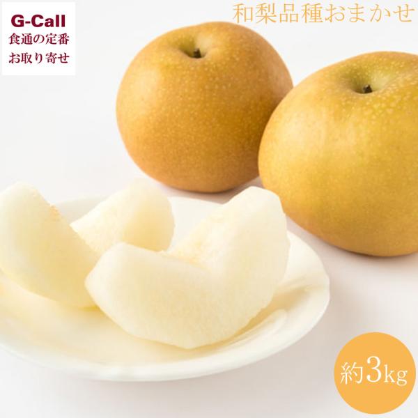 【発売日：2026年09月05日】【注意】収穫状況や生育状況によっては、出荷が遅れる場合がございます。あらかじめご了承ください。申込受付：9月18日11時までお届け期間：9月上旬〜9月下旬まで※お届け日のご指定は承ることができません。※お届...