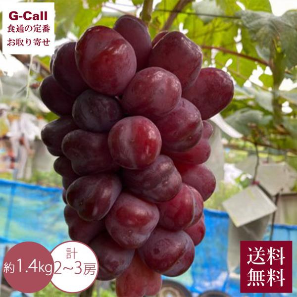 ★【注意】収穫状況や生育状況によっては、出荷が遅れる場合がございます。あらかじめご了承ください。申込受付：1月14日11時まで出荷期間：1月上旬〜1月下旬※お届け日のご指定は承ることができません。※お届け日は目安です。商品出荷後はキャンセル...