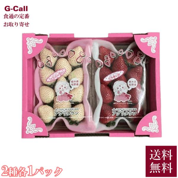 【注意】収穫状況や生育状況によっては、出荷が遅れる場合がございます。あらかじめご了承ください。申込受付：2月20日11時までお届け期間：1月下旬〜2月下旬頃まで※お届け日のご指定は承ることができません。※お届け日は目安です。商品出荷後はキャ...