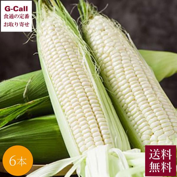 【発売日：2026年05月25日】★【注意】発送期間内にご注文順に順次発送します。お届け日のご指定は承れません。申込受付：6月19日11時まで発送期間：5月末〜6月末ごろまで※商品の品質保持のため沖縄・離島への配送はいたしかねます。※お届け...