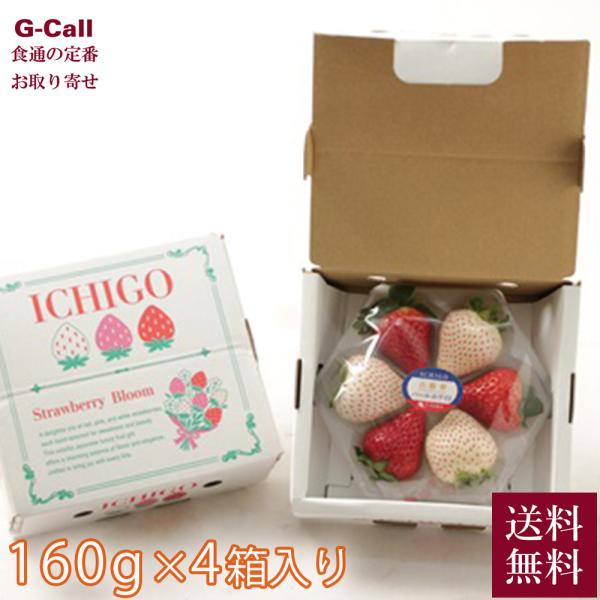 ★【注意】収穫状況や生育状況によっては、出荷が遅れる場合がございます。あらかじめご了承ください。申込受付：4月3日11時まで出荷期間：4月中旬まで※お届け日のご指定は承ることができません。※お届け日は目安です。商品出荷後はキャンセル不可とな...