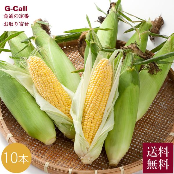 【発売日：2026年02月25日】★【注意】収穫状況や生育状況によっては、発送が遅れる場合がございます。あらかじめご了承ください。申込受付：4月24日11時まで出荷期間：2月下旬〜4月下旬まで※配達日のご指定は承ることができません。※お届け...