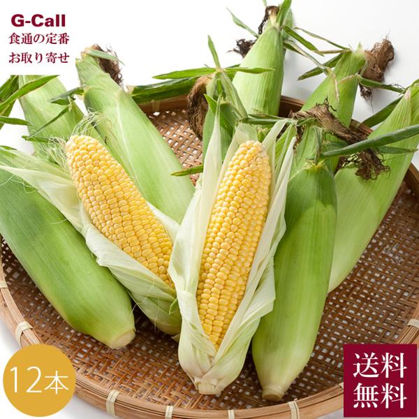 【発売日：2026年02月25日】★【注意】収穫状況や生育状況によっては、発送が遅れる場合がございます。あらかじめご了承ください。申込受付：4月24日11時まで出荷期間：2月下旬〜4月下旬まで※配達日のご指定は承ることができません。※お届け...