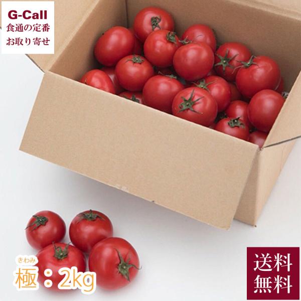 ★【注意】収穫状況や生育状況によっては、出荷が遅れる場合がございます。あらかじめご了承ください。申込受付：3月31日11時まで※お届け日は目安です。商品出荷後はキャンセル不可となります。※ご不在日がございましたら商品ご注文後、ご注文履歴より...