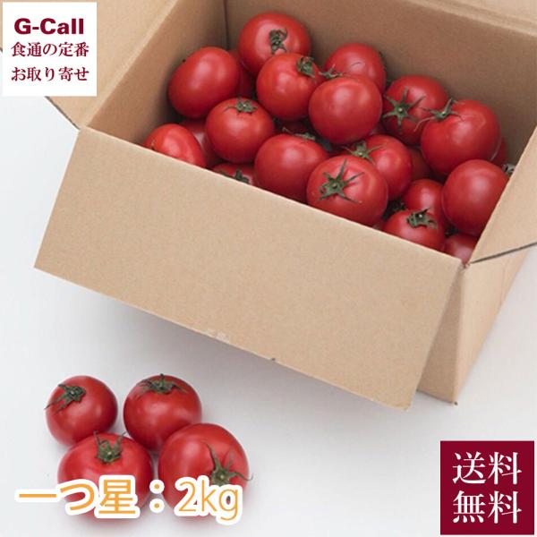 ★【注意】収穫状況や生育状況によっては、出荷が遅れる場合がございます。あらかじめご了承ください。申込受付：3月31日11時まで※お届け日は目安です。商品出荷後はキャンセル不可となります。※ご不在日がございましたら商品ご注文後、ご注文履歴より...