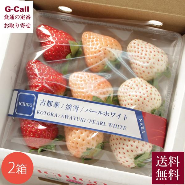 【注意】収穫状況や生育状況によっては、出荷が遅れる場合がございます。あらかじめご了承ください。申込受付：4月3日11時まで出荷機関：3月上旬から順次出荷※お届け日のご指定は承ることができません。※お届け日は目安です。商品出荷後はキャンセル不...