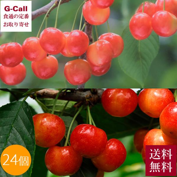 【発売日：2026年07月24日】【注意】収穫状況や生育状況によっては、お届けが前後する場合がございます。あらかじめご了承ください。申込受付：7月7日11時まで発送期間：7月下旬頃※お届け日のご指定は承ることができません。※お届け日は目安で...