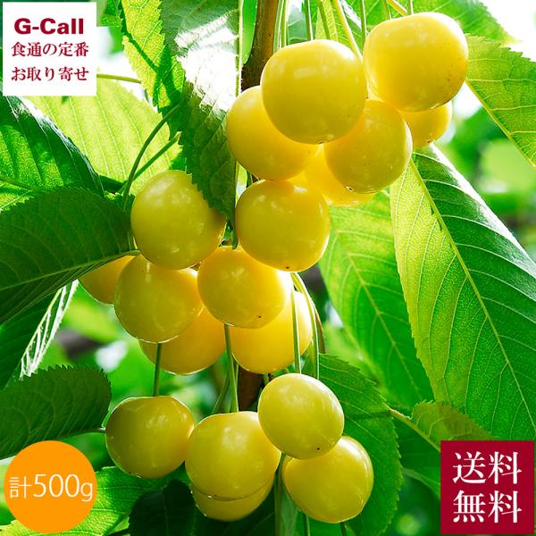 【発売日：2026年07月03日】【注意】収穫状況や生育状況によっては、お届けが前後する場合がございます。あらかじめご了承ください。申込受付：7月7日11時まで発送期間：7月上旬〜7月下旬頃※お届け日のご指定は承ることができません。※お届け...