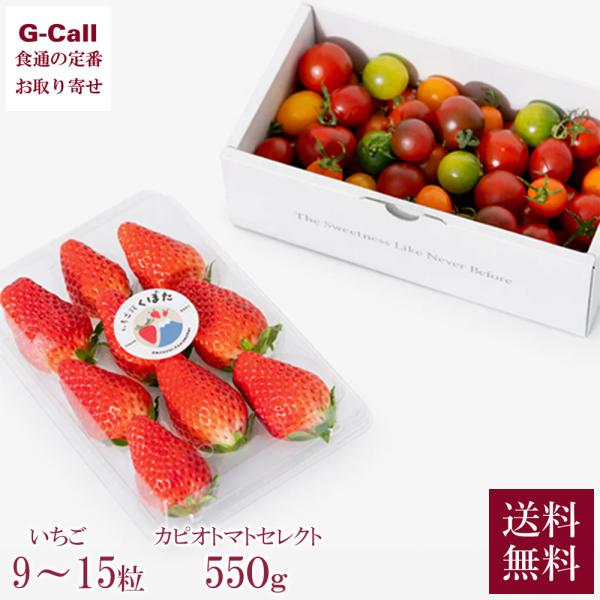 【注意】収穫状況や生育状況によっては、お届けが前後する場合がございます。あらかじめご了承ください。申込受付：2026年4月30日11時まで発送期間：収穫でき次第順次出荷いたします。※4月〜5月上旬ごろ出荷予定※お届け日のご指定は承ることがで...