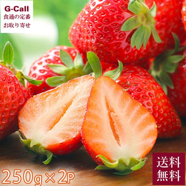 【注意】収穫状況や生育状況によっては出荷が遅れる場合がございます。あらかじめご了承ください。 申込受付：2026月4月30日11時までお届け期間：5月上旬ごろまで※お届け日のご指定は承ることができません。※お届け日は目安です。商品出荷後はキ...