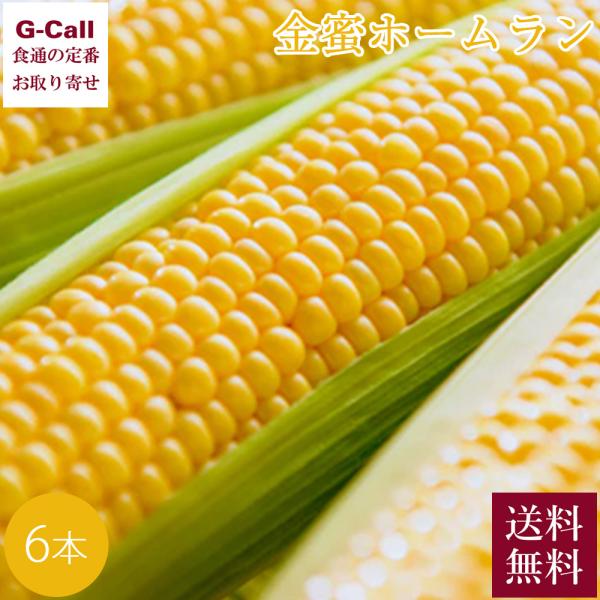 【発売日：2026年06月05日】★【注意】収穫状況や生育状況によっては、発送が遅れる場合がございます。あらかじめご了承ください。申込受付：6月19日11時まで出荷期間：6月上旬〜6月下旬まで※配達日のご指定は承ることができません。※お届け...
