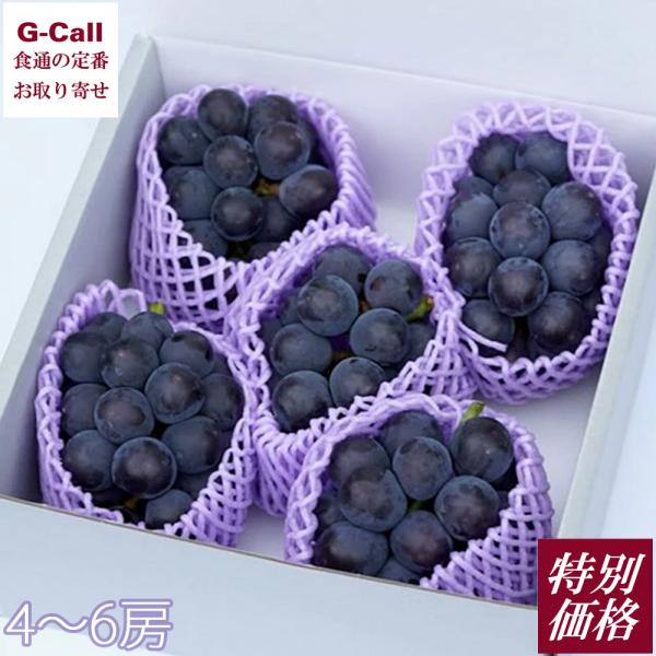 【発売日：2026年08月15日】≪特別価格キャンペーン≫通常価格11,000円⇒10,770円(税込)【注意】収穫状況や生育状況によっては、お届けが前後する場合がございます。あらかじめご了承ください。申込受付：8月28日11時まで出荷期間...