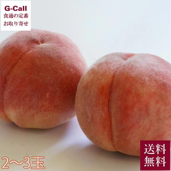 【発売日：2026年06月25日】【注意】収穫状況や生育状況によっては、お届けが前後する場合がございます。あらかじめご了承ください。申込受付：7月17日11時まで出荷期間：6月下旬〜7月下旬まで※お届け日のご指定は承ることができません。※お...