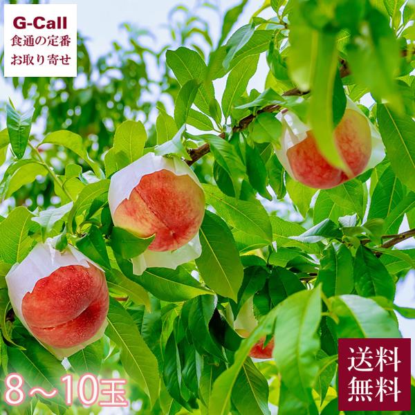 【発売日：2026年08月05日】【注意】収穫状況や生育状況によっては、お届けが前後する場合がございます。あらかじめご了承ください。申込受付：8月28日11時まで出荷期間：8月上旬〜9月上旬まで※お届け日のご指定は承ることができません。※お...