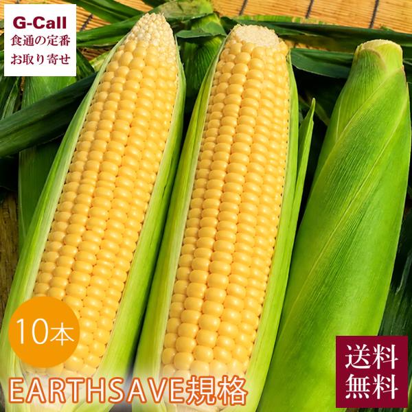 【発売日：2026年08月15日】★【注意】お届け日のご指定は承れません。気候・生育状況により出荷まで1か月程度お待ち頂く場合がございます。ご了承ください。 申込受付：9月11日11時まで出荷期間：8月中旬頃〜9月末頃まで※ご指定日は承れま...