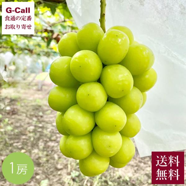 【発売日：2026年08月15日】【注意】収穫状況や生育状況によっては、お届けが前後する場合がございます。あらかじめご了承ください。申込受付：9月18日11時までお届け期間：8月中旬〜9月下旬まで※お届け日のご指定は承ることができません。※...