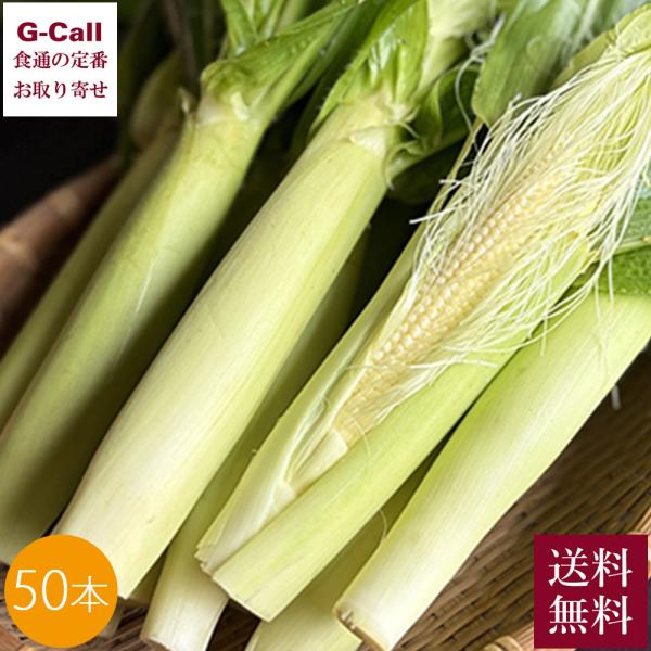 【発売日：2026年09月05日】【注意】お届け日のご指定は承れません。収穫状況や生育状況によっては出荷時期が前後する場合がございます。あらかじめご了承ください。 申込受付：9月24日11時まで発送期間：9月上旬〜9月下旬頃※お届け日のご指...