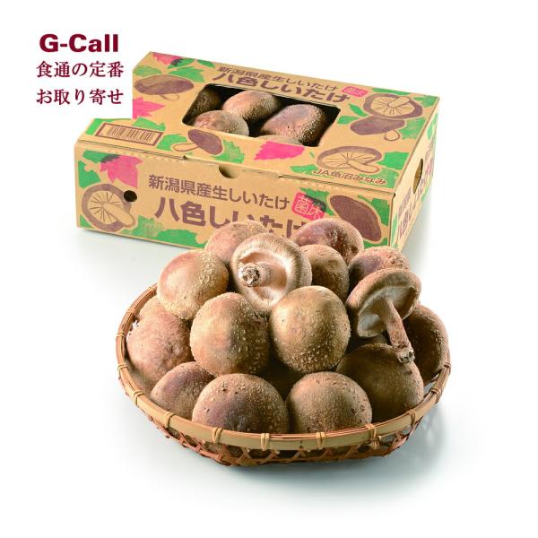 「厚いにもほどがある」がキャッチコピー。大型で肉厚の八色しいたけです。独特の風味とジューシーさをお楽しみください。八色生しいたけは、菌床栽培で徹底管理された大型・肉厚しいたけです。歯切れも良く、鍋物、お酒の肴に絶品です。輸入物とは比べものに...