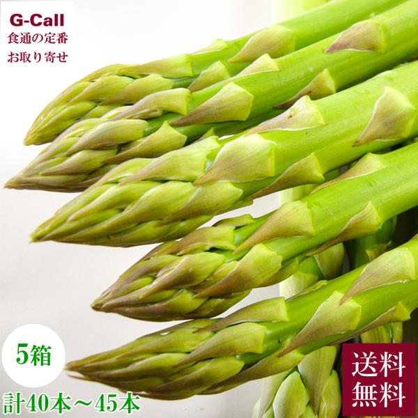 【注意】収穫状況や生育状況によっては、出荷が遅れる場合がございます。あらかじめご了承ください。申込受付：2月27日11時までお届け期間：2月中旬〜3月上旬※お届け日のご指定は承ることができません。※お届け日は目安です。商品出荷後はキャンセル...